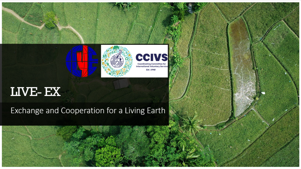 LIVE-EX Virtual Exchange - International Cultural Youth Exchange